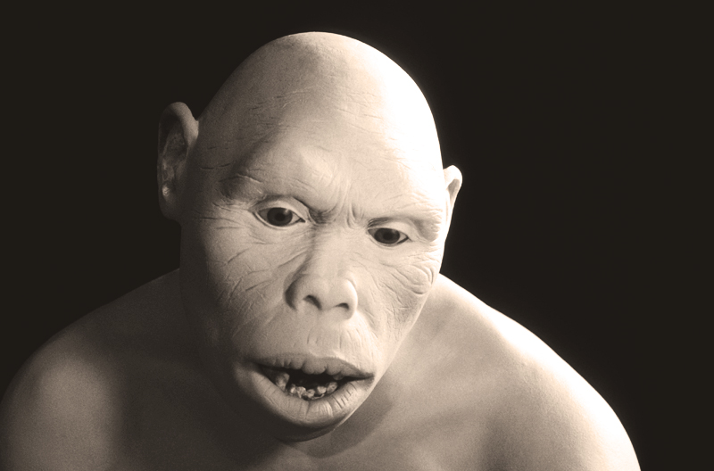 Pravěké pudy nám dělají ostudu | Psychologie.cz